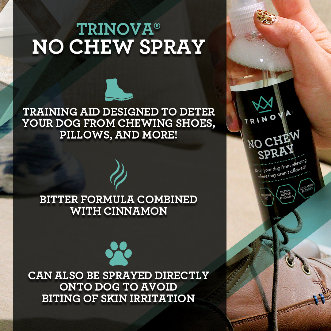 What is in the No Chew Spray? – Gold Eagle Company