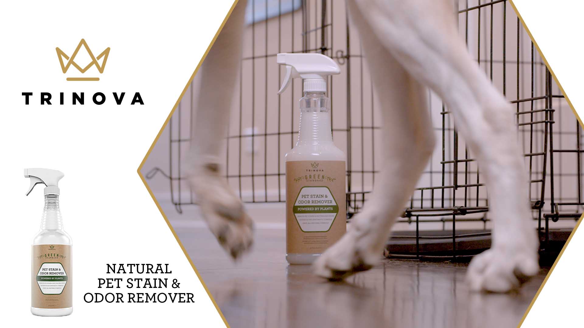 Does the TriNova Pet Stain Remover leave a stain? – Gold Eagle Company